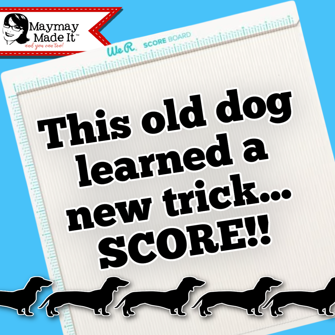 SCORE! AN OLD DOG CAN LEARN NEW TRICKS!